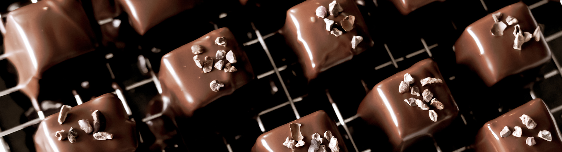 Fuji Global Chocolate | FGC Chocolate Malaysia Enrobing & Moulding